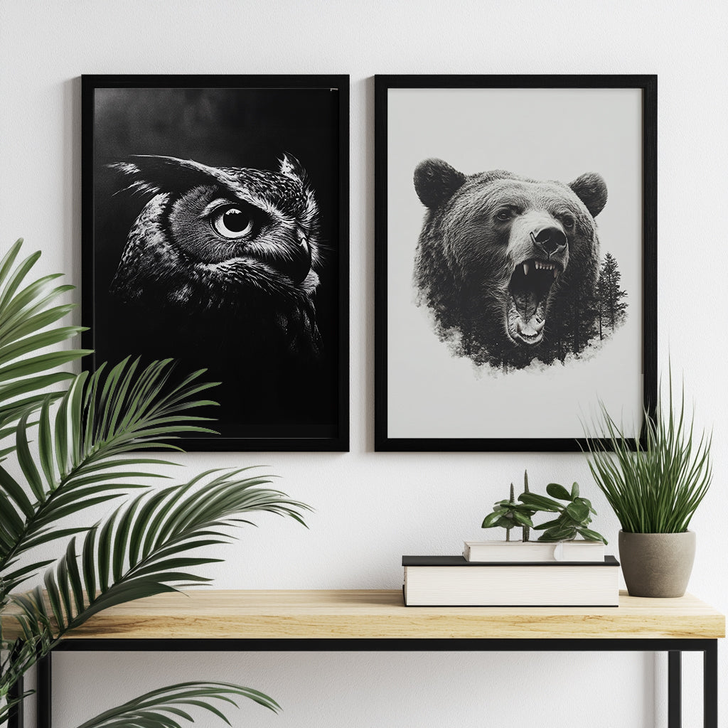 Collections – Kadish Studio